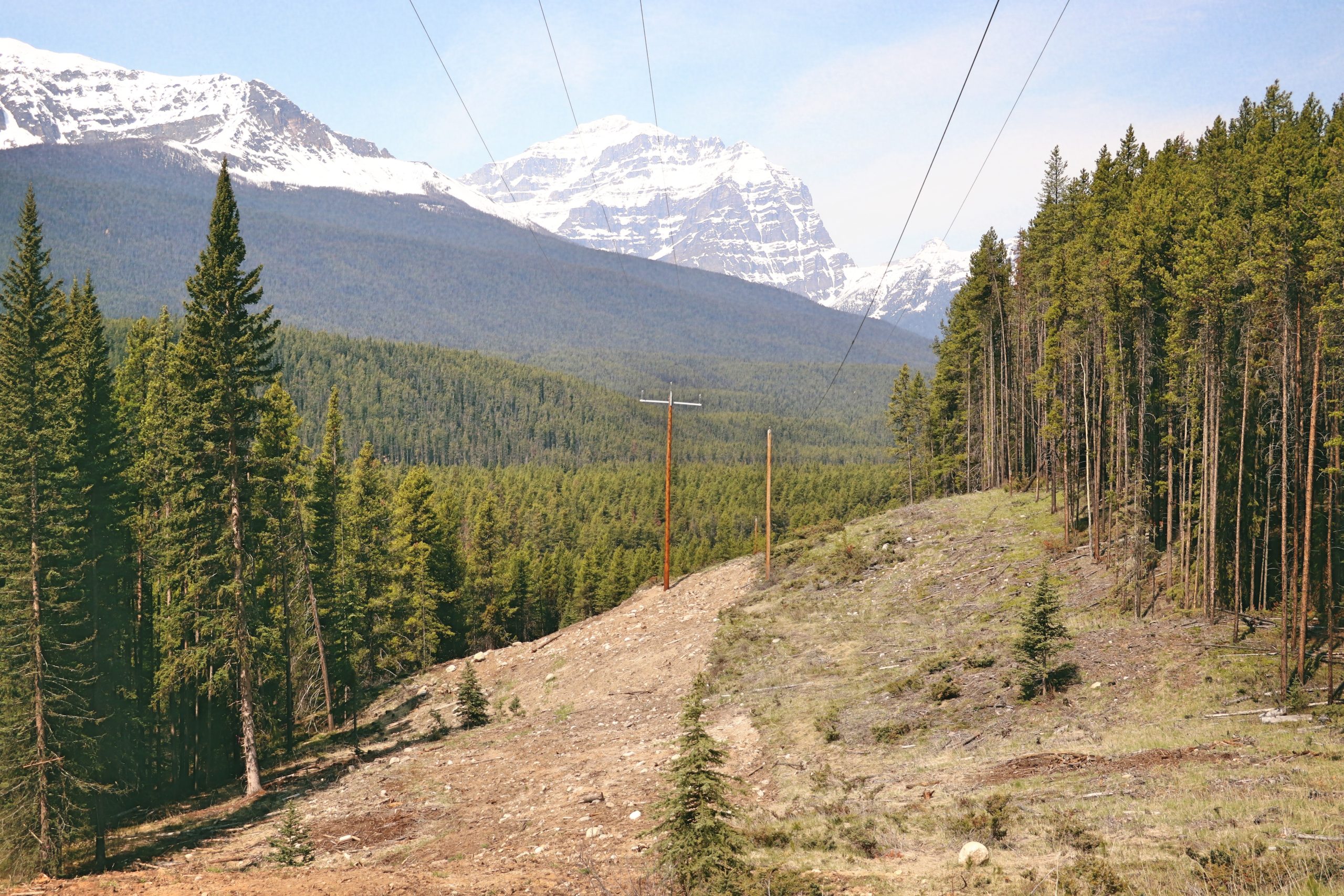 Vegetation Management - AltaLink