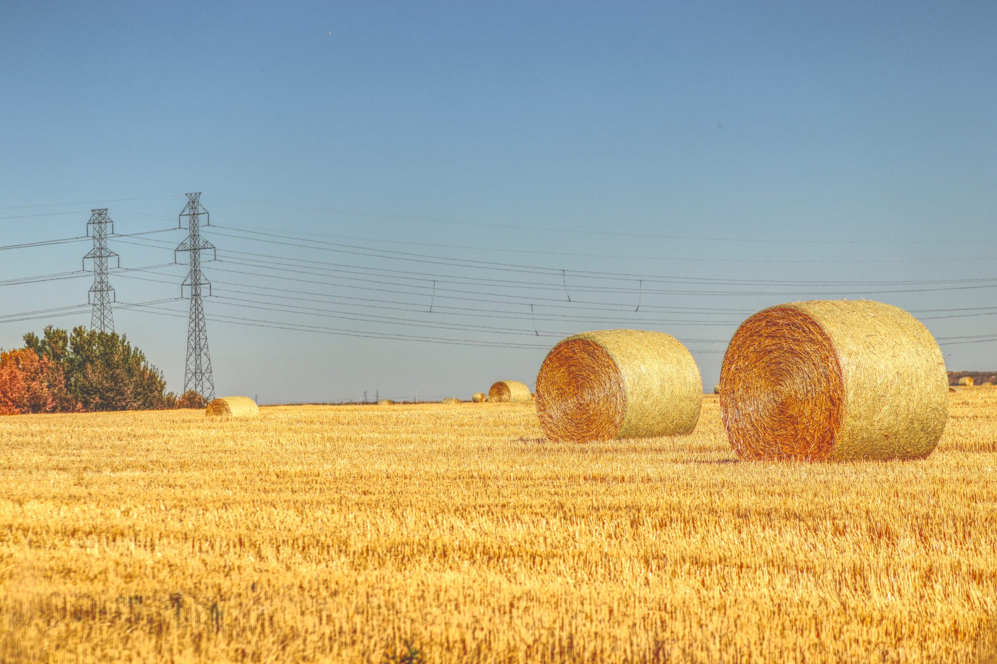 Safe, Reliable, Affordable Electricity - AltaLink