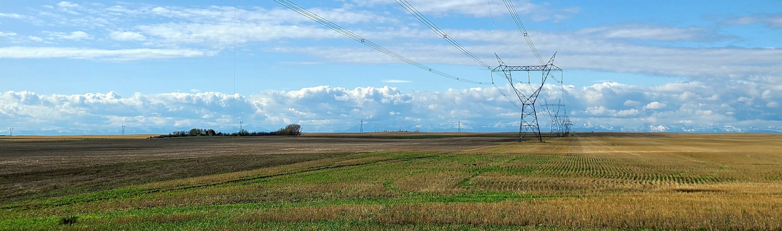 AltaLink Contract References - AltaLink