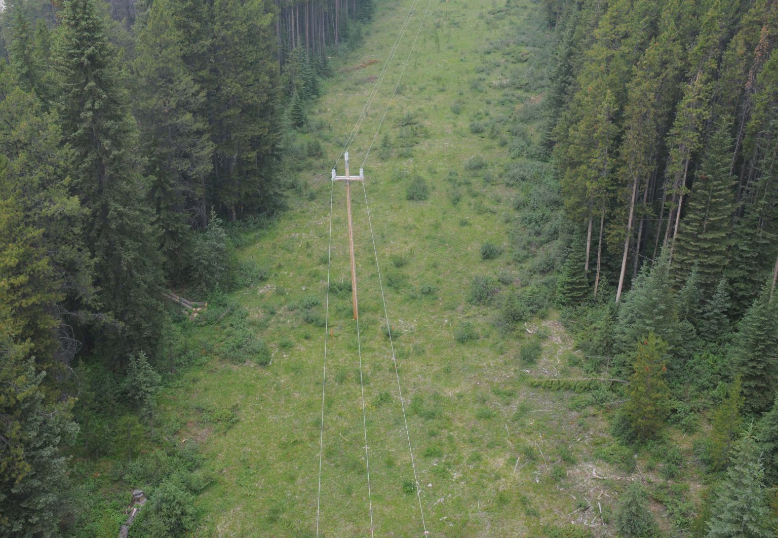 Wildfire Safety – AltaLink